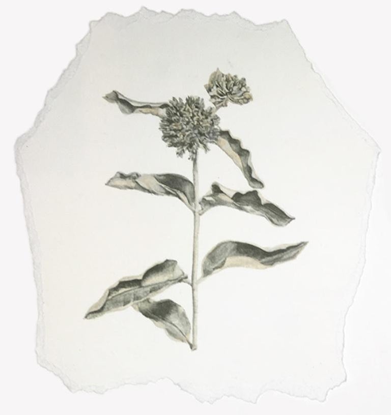 Maddy Rosenberg - "Garden Interventions I", Still-life Oil Painting on ...