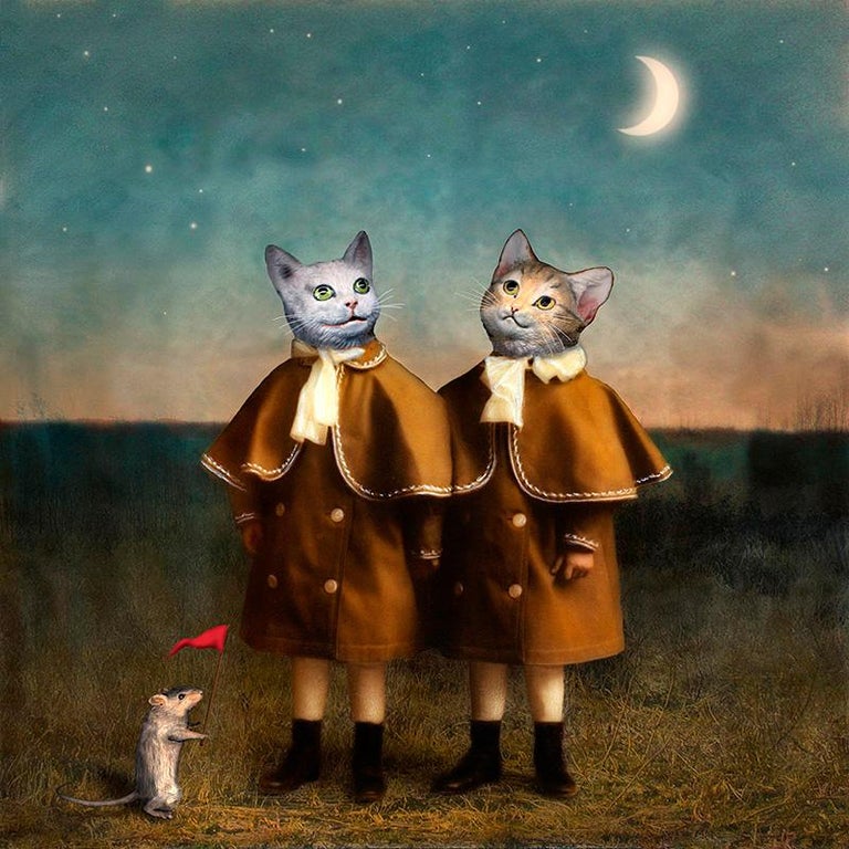 Maggie Taylor - Distracted Cats For Sale at 1stDibs | cats taylor ...