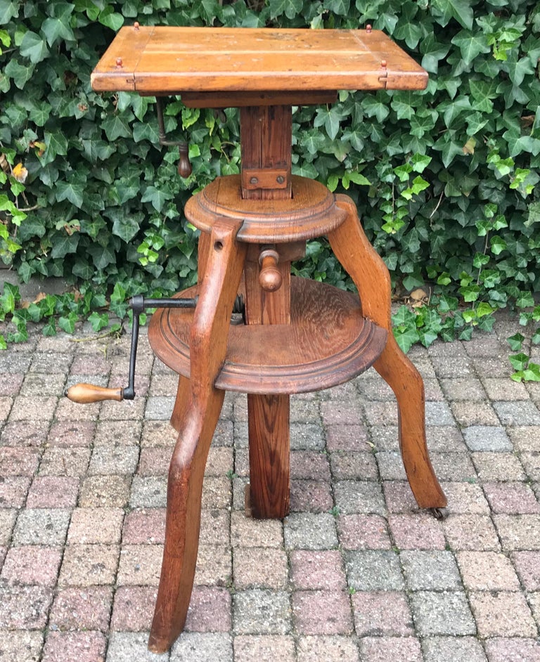 Magnificent and Adjustable Wooden Sculpture or Plant Stand, Column ...