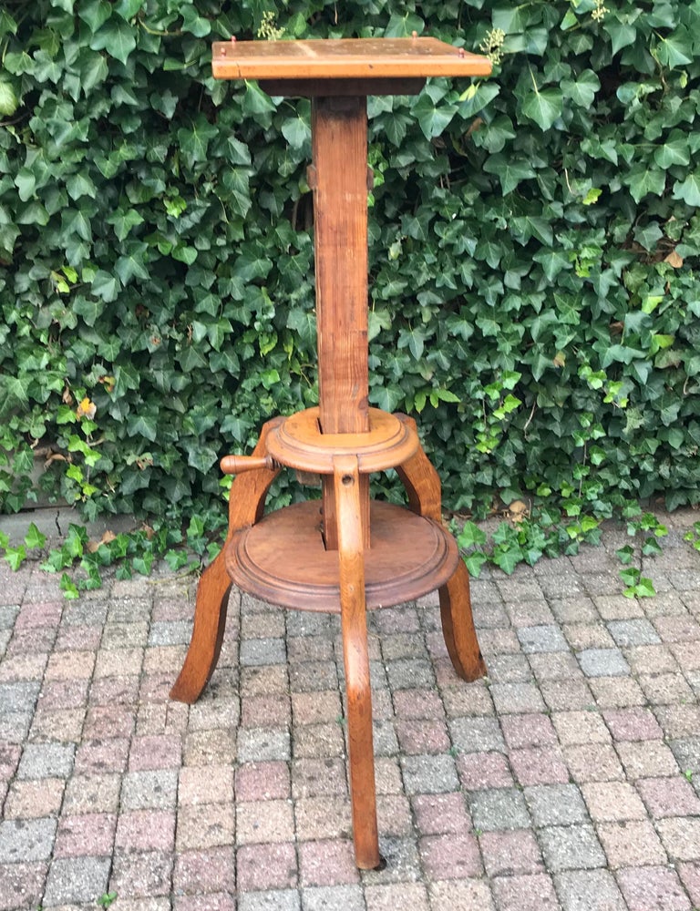 Magnificent and Adjustable Wooden Sculpture or Plant Stand, Column ...