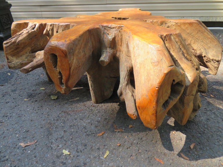 Magnificent Natural Raw Teak Hardwood Organic Root Coffee Table For ...