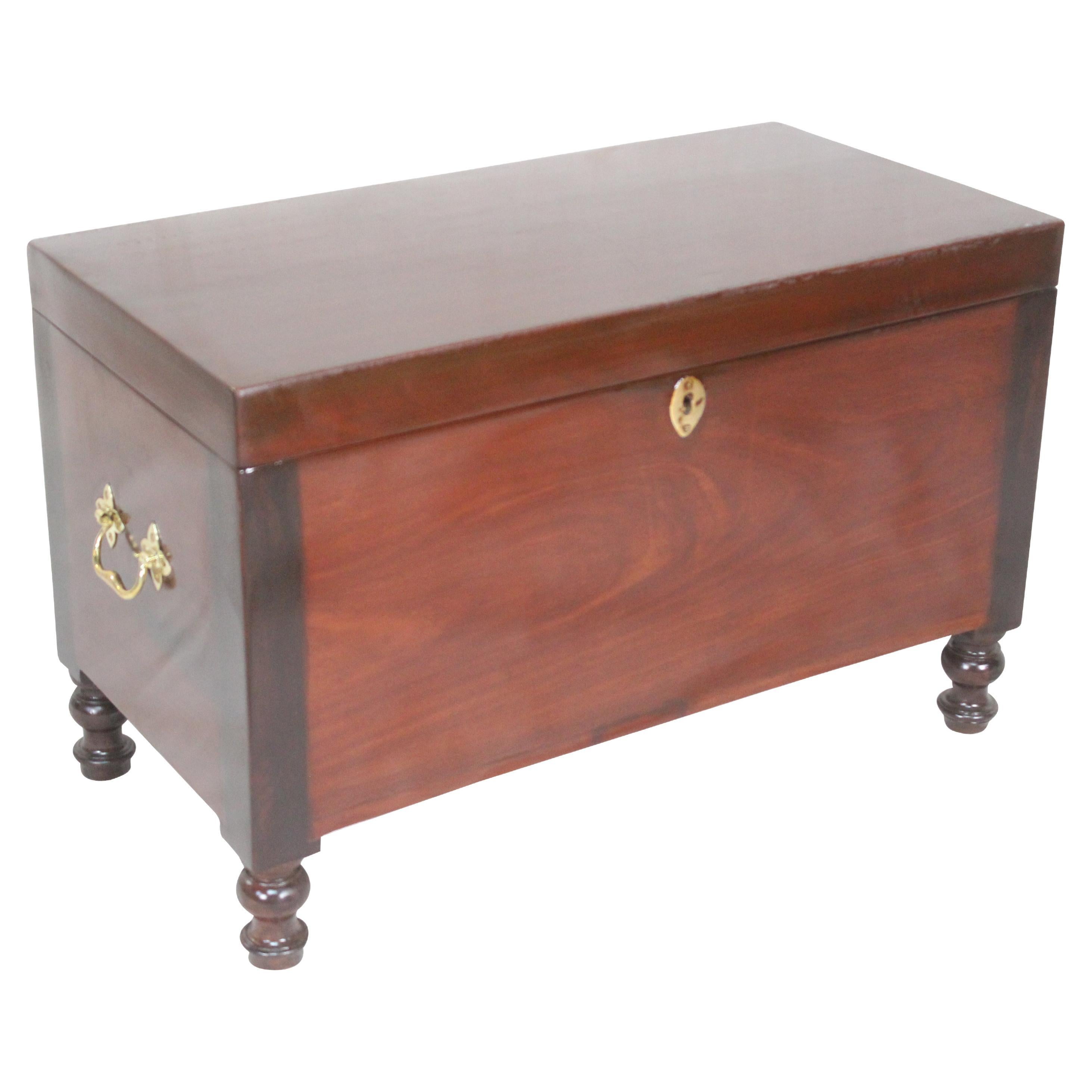 19th Century British Colonial Jakwood and Ebony Trunk For Sale at 1stDibs