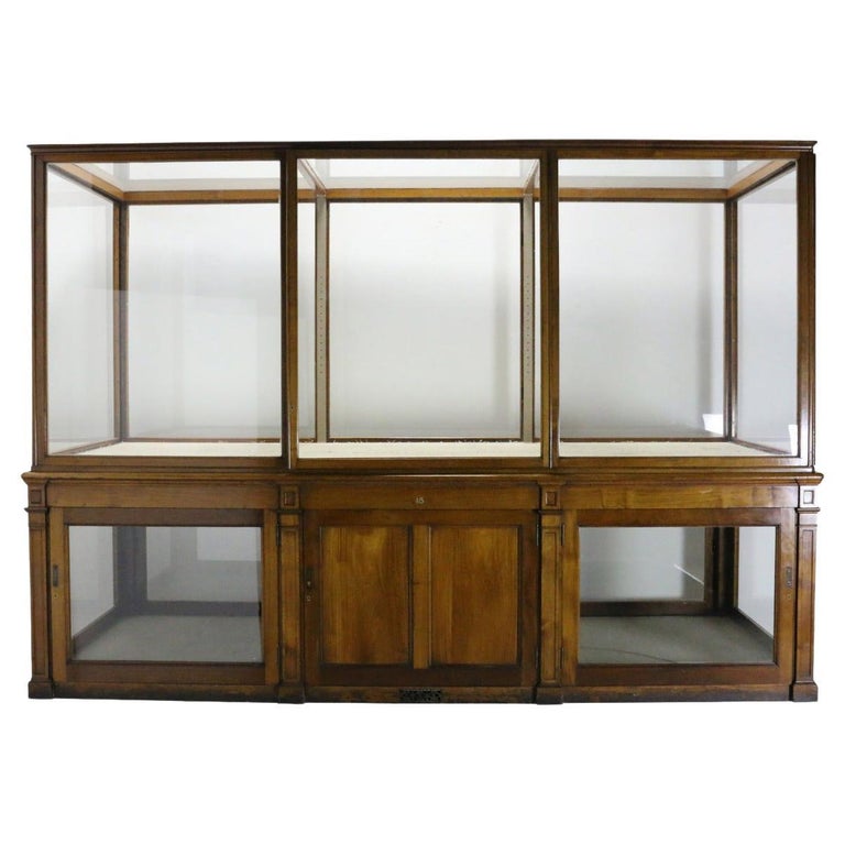 Mahogany Museum Cabinet from the V and A Museum For Sale at 1stDibs