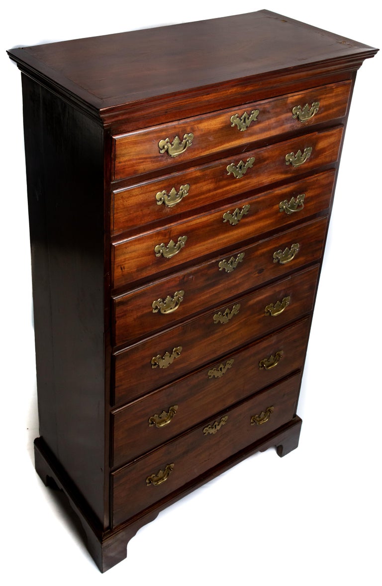 Mahogany Tall Chest, 19th Century For Sale at 1stDibs