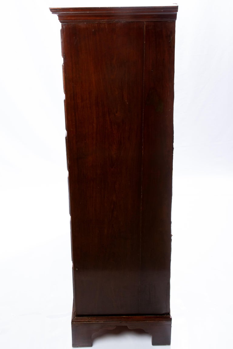 Mahogany Tall Chest, 19th Century For Sale at 1stDibs