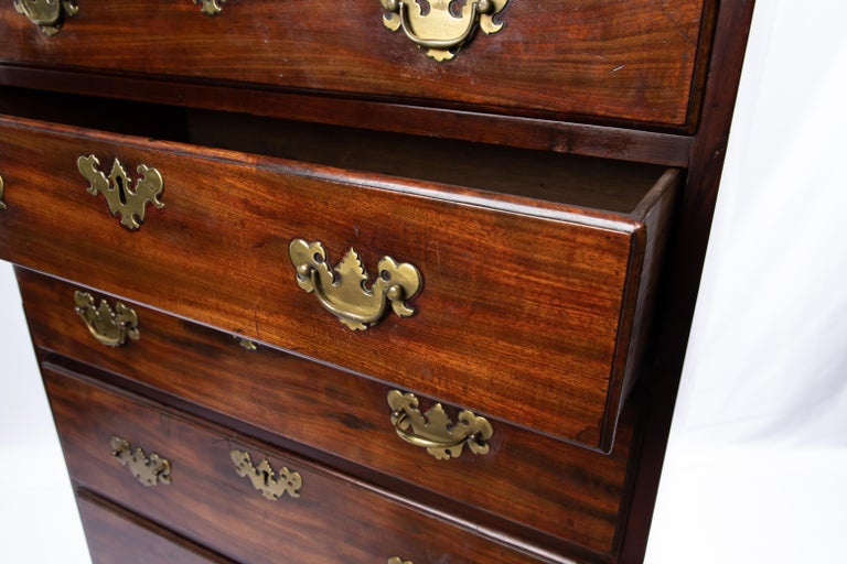 Mahogany Tall Chest, 19th Century For Sale at 1stDibs