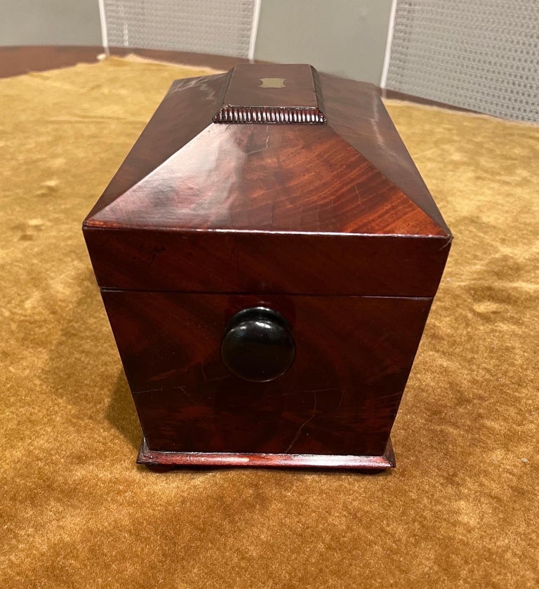 Mahogany Tea Caddy, Sarcophagus form, Early 19th Century For Sale at ...