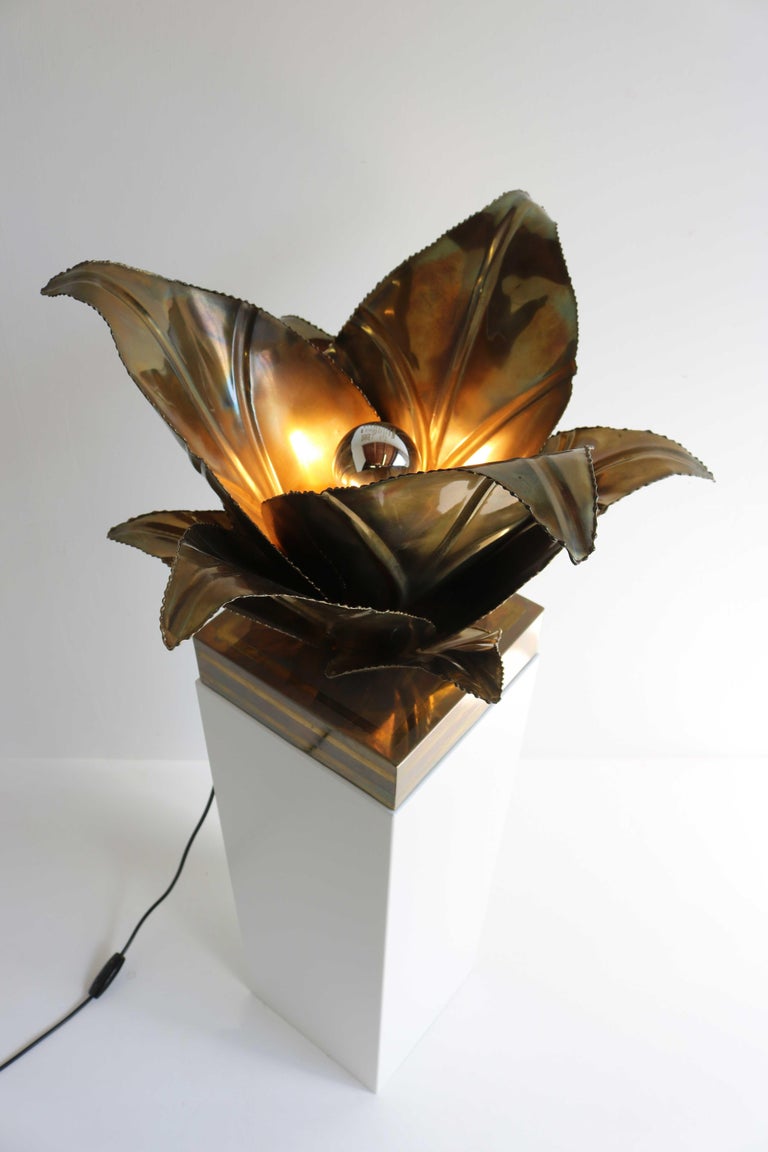 Maison Jansen Aloe Vera Plant Table Lamp, Regency Floral Table Light ...