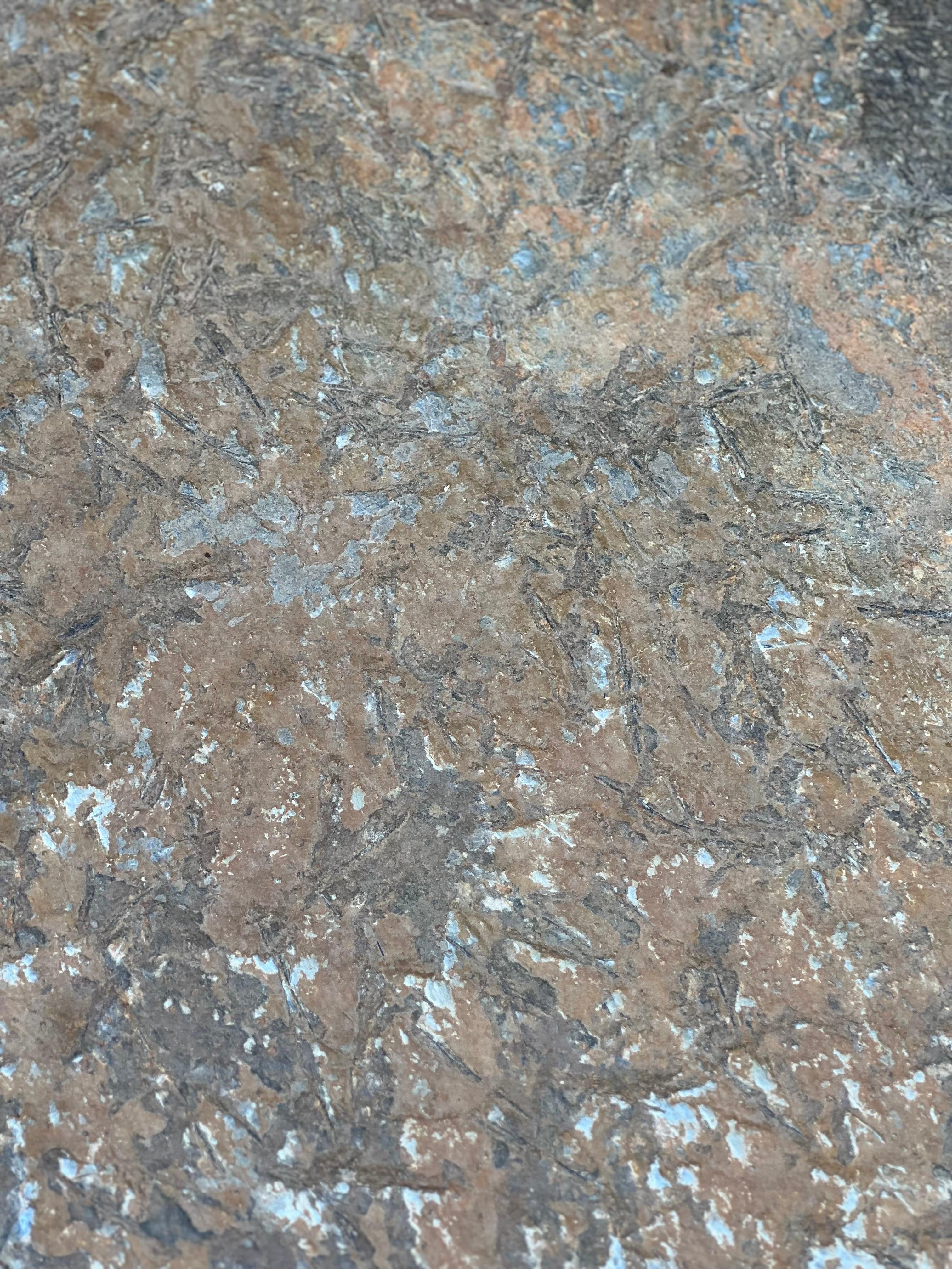 Majestic Schist Fossil Stone Coffee Table, Metal Tripod Base Brutalist ...