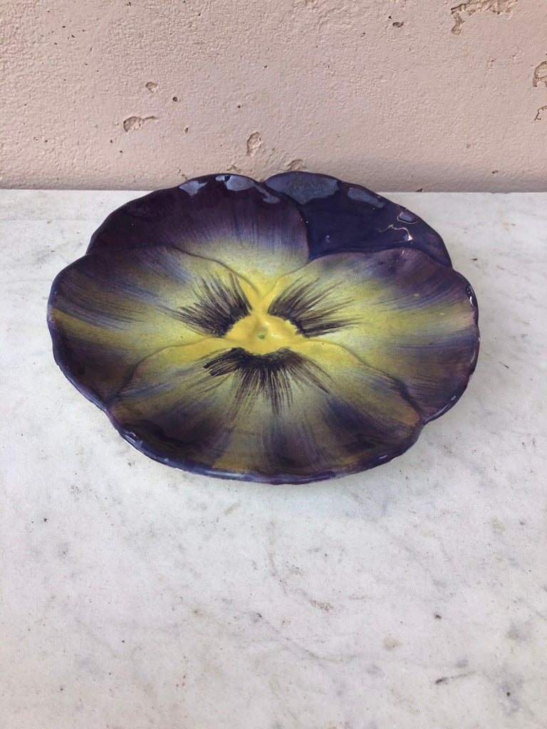 Majolica Pansy Plate Jerome Massier, circa 1900 at 1stDibs