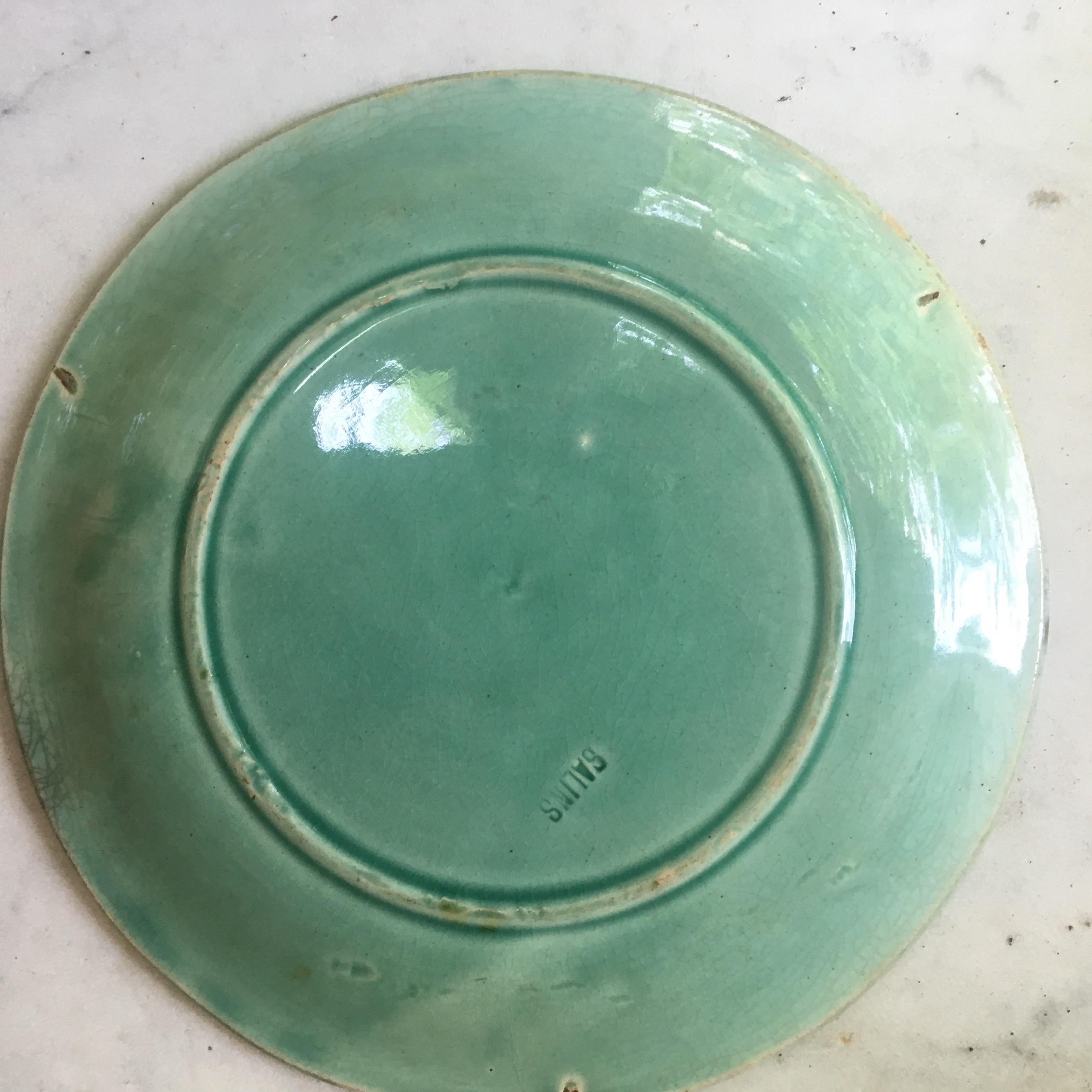 Majolica Parakeets Plate Salins, circa 1890 at 1stDibs