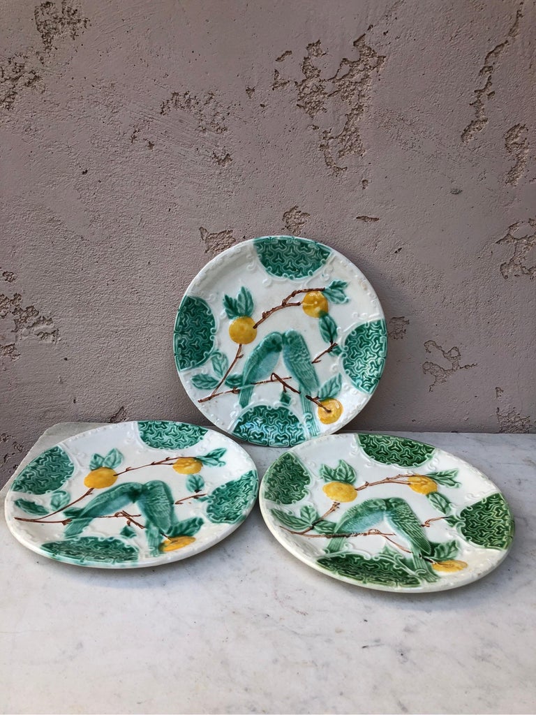 Majolica Parakeets Plate Salins, circa 1890 at 1stDibs