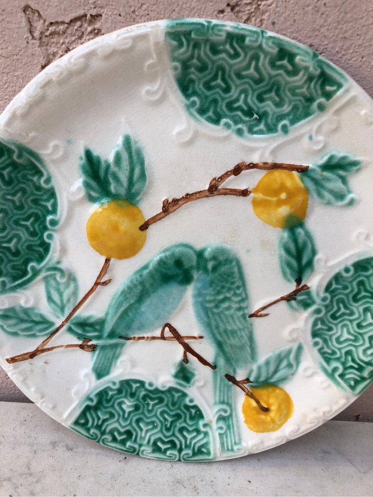 Majolica Parakeets Plate Salins, circa 1890 at 1stDibs