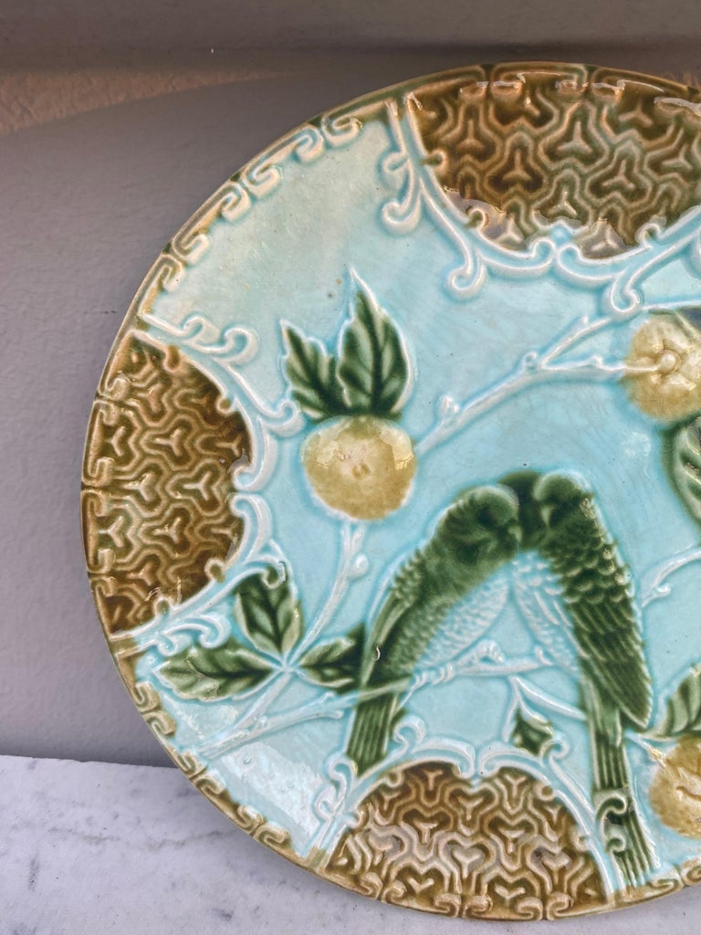 Majolica Parakeets Plate Salins, circa 1890 For Sale at 1stDibs