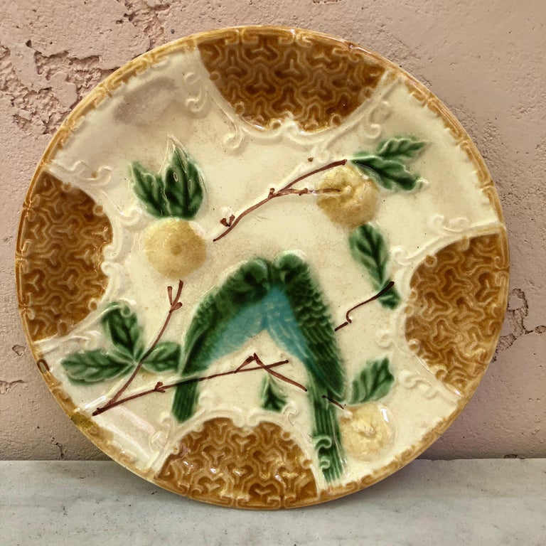 Majolica Parakeets Plate Salins, circa 1890 For Sale at 1stDibs
