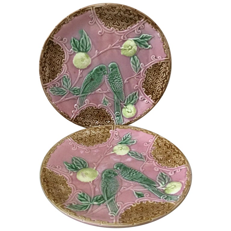 Majolica Parakeets Plate Salins, circa 1890 at 1stDibs