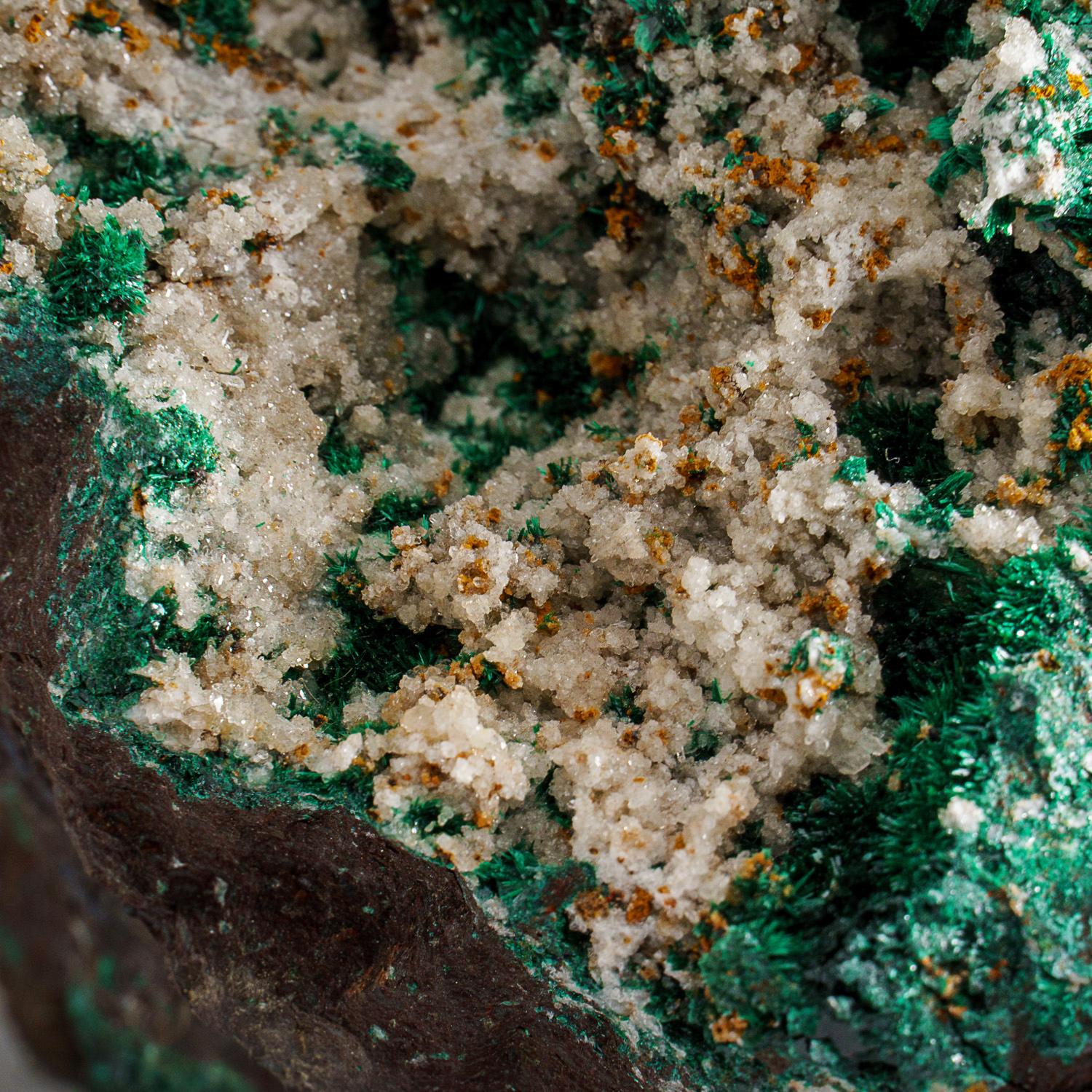 Malachite Crystals on Cuprite Matrix from Democratic Republic of the ...