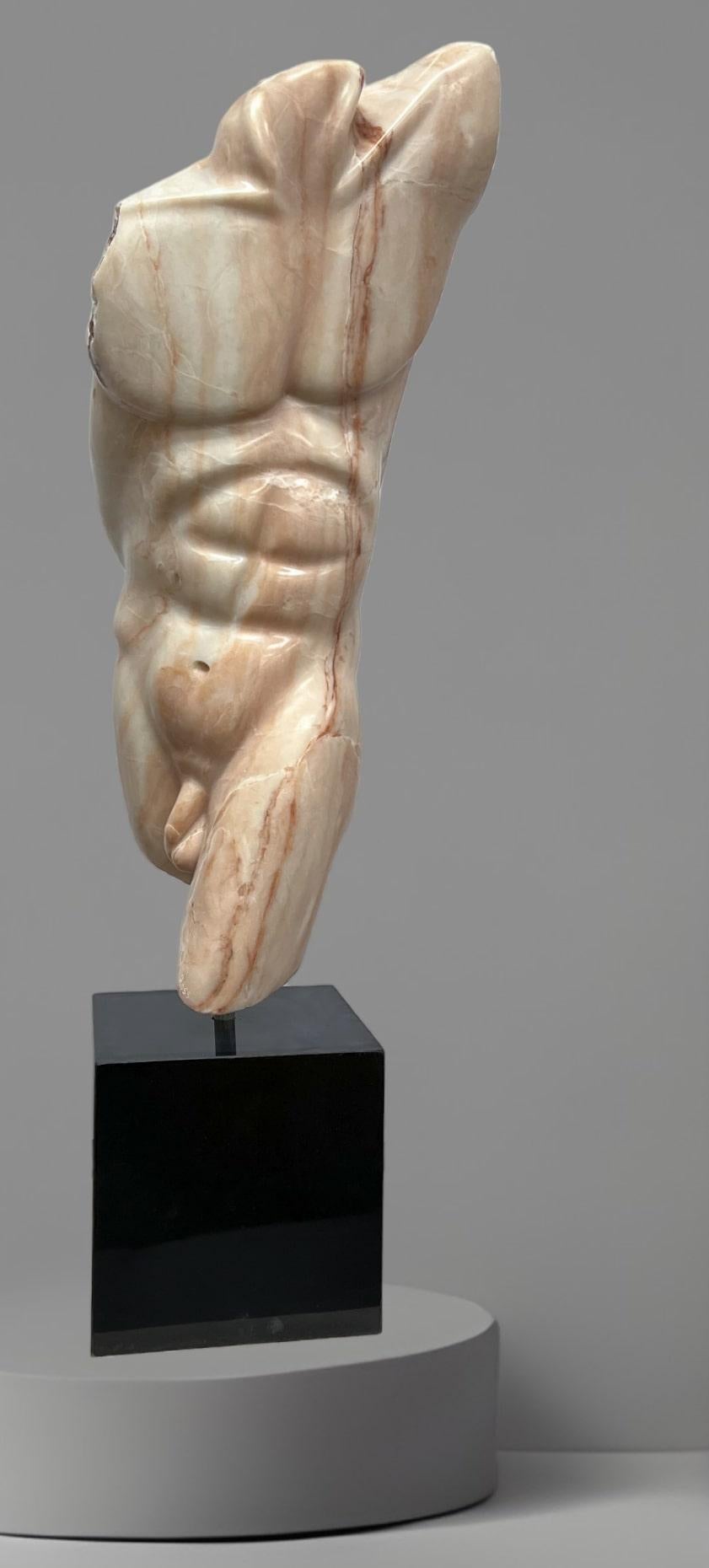 Male Torso in Pink Marble by Sculptor Bryan Ross at 1stDibs