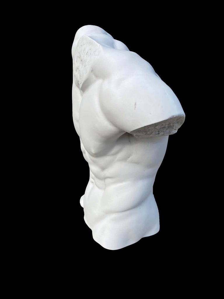 Male Torso Statue, 20th Century at 1stDibs | greek torso statue, greek ...