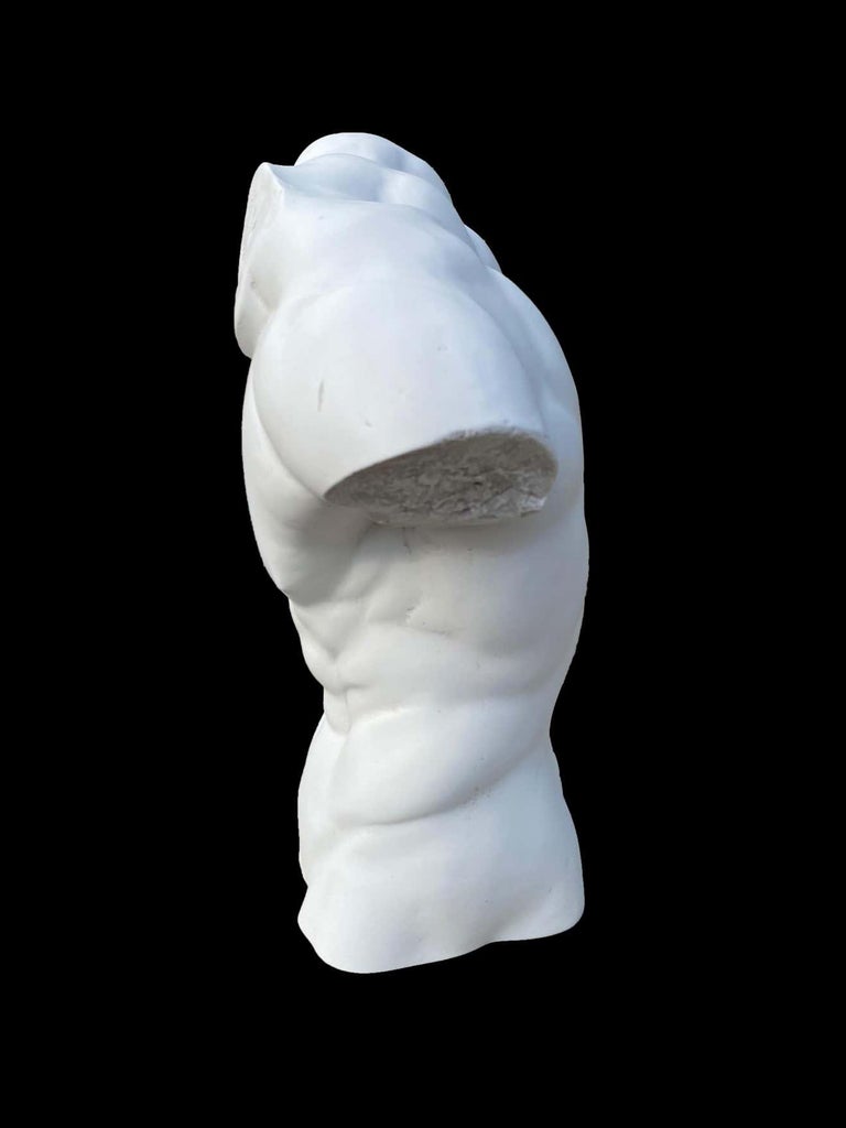 Male Torso Statue, 20th Century at 1stDibs | greek torso statue, greek ...