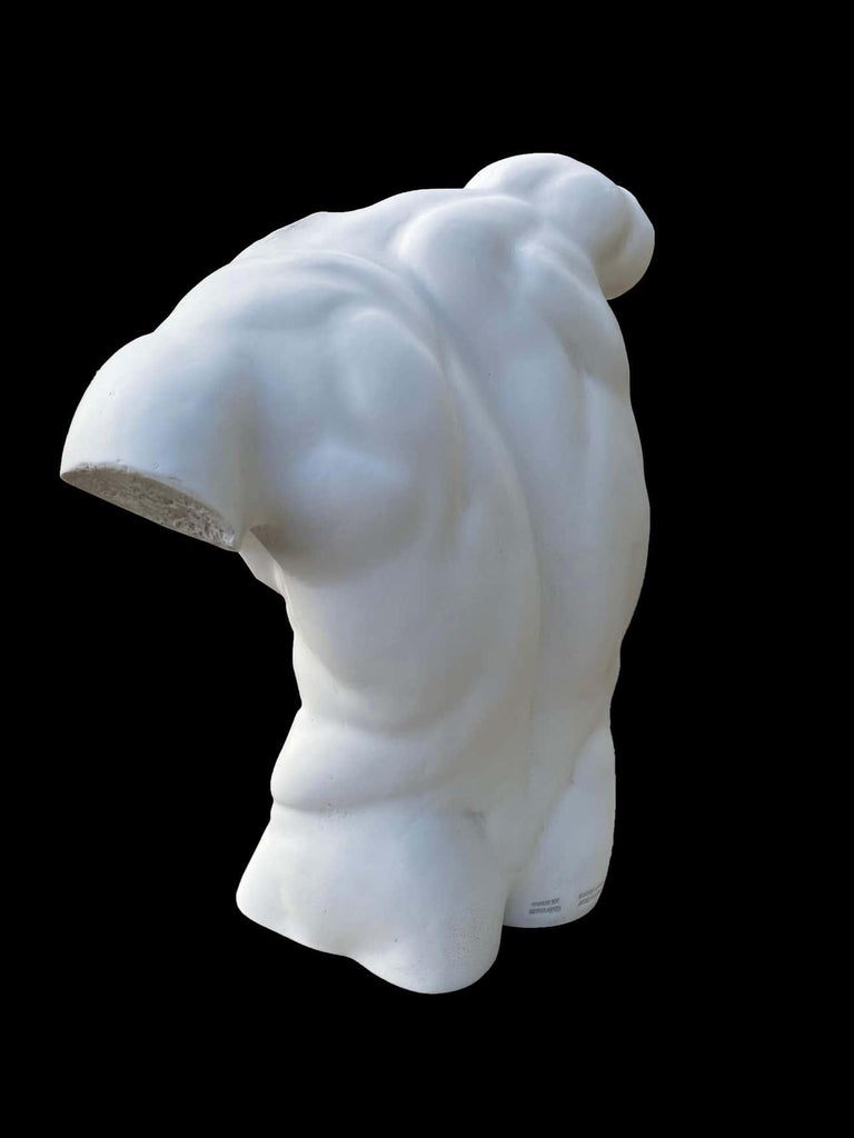 Male Torso Statue, 20th Century at 1stDibs