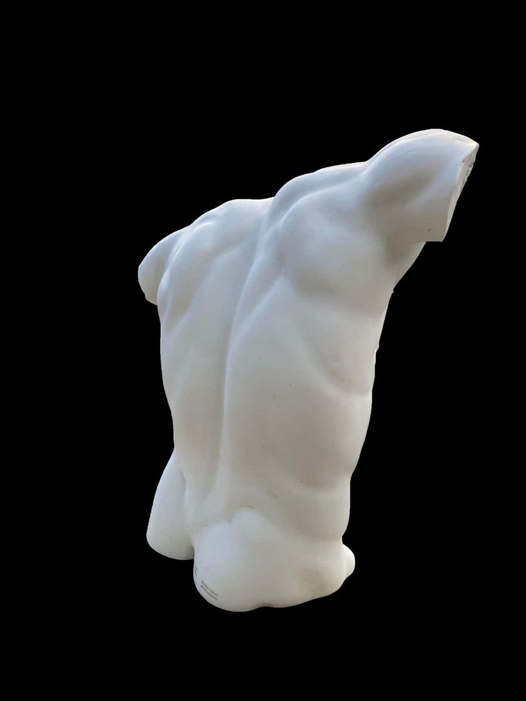 Male Torso Statue, 20th Century at 1stDibs | greek torso statue, greek ...
