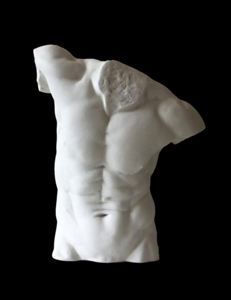 Male Torso Statue, 20th Century at 1stDibs