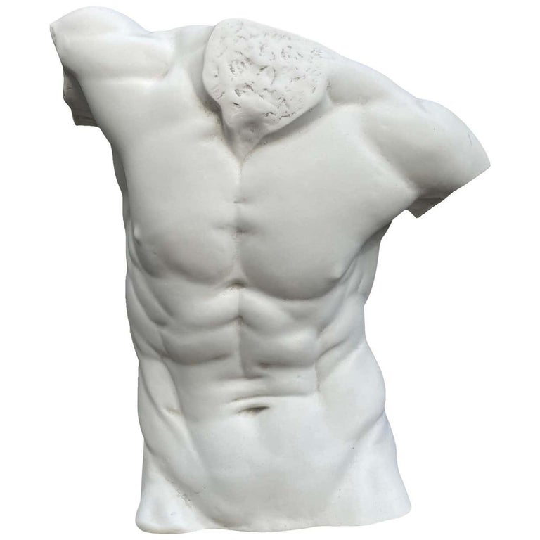 Male Torso Statue, 20th Century at 1stDibs | greek torso statue, greek ...