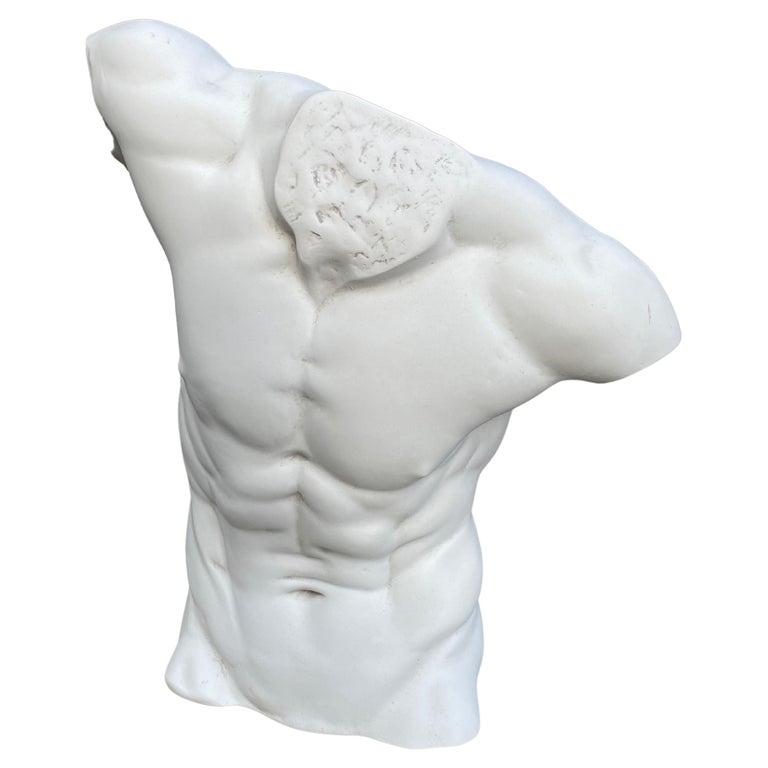 Male Torso Statue, 20th Century at 1stDibs