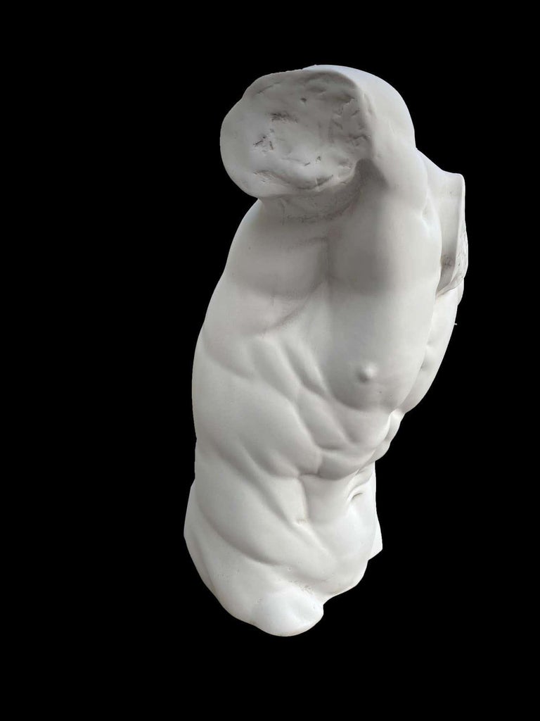 Male Torso Statue, 20th Century at 1stDibs