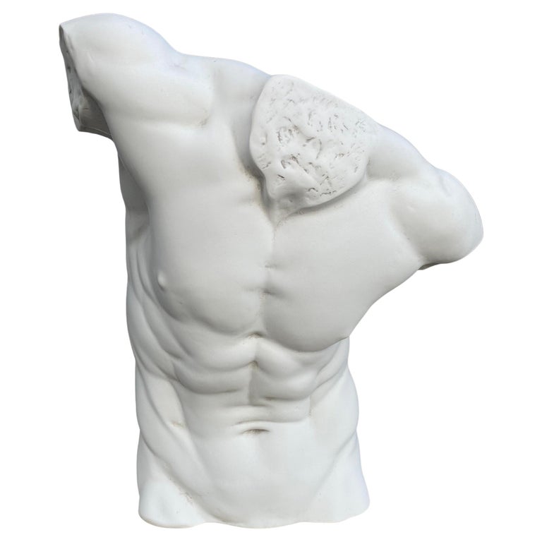 Male Torso Statue, 20th Century at 1stDibs
