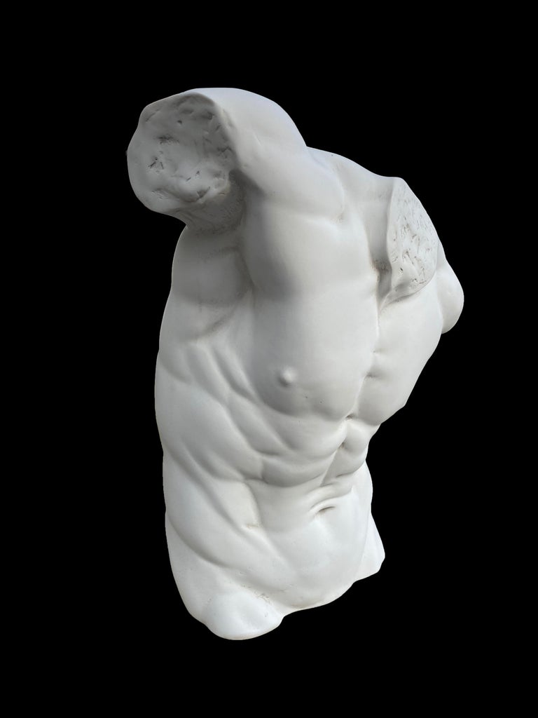 Male Torso Statue, 20th Century For Sale at 1stDibs