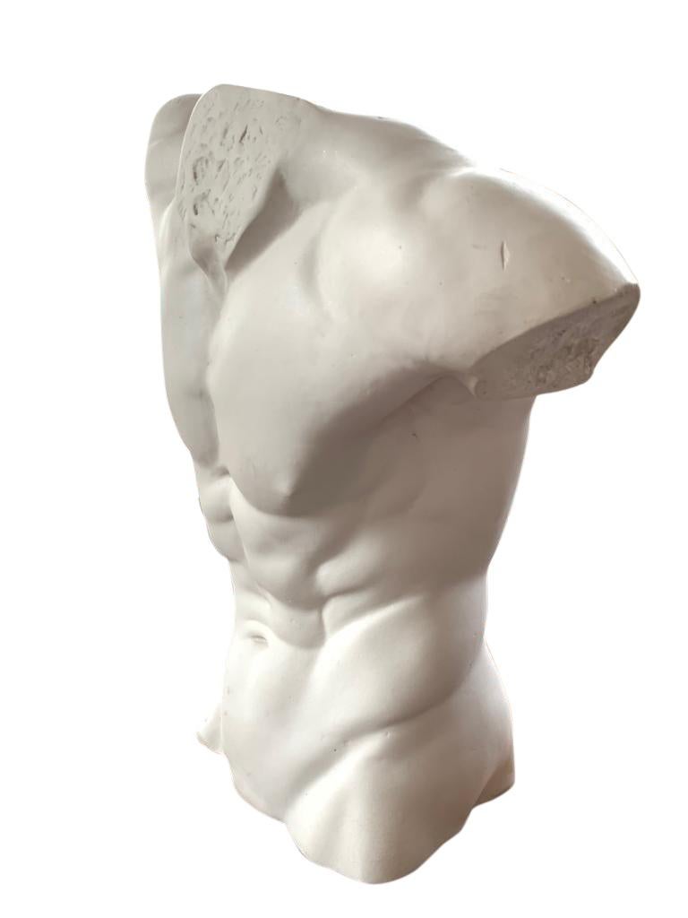 Male Torso Statue, 20th Century at 1stDibs | statue torso, greek torso ...
