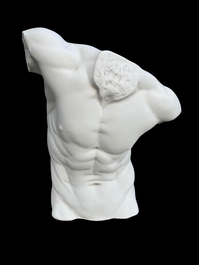 Male Torso Statue, 20th Century For Sale at 1stDibs