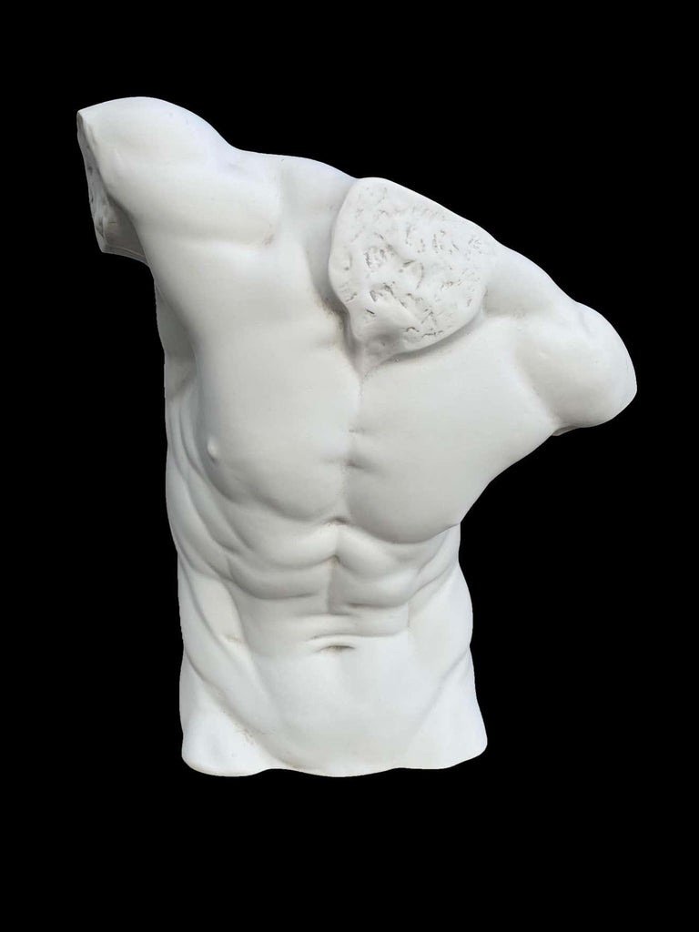 Male Torso Statue, 20th Century at 1stDibs | greek torso statue, greek ...