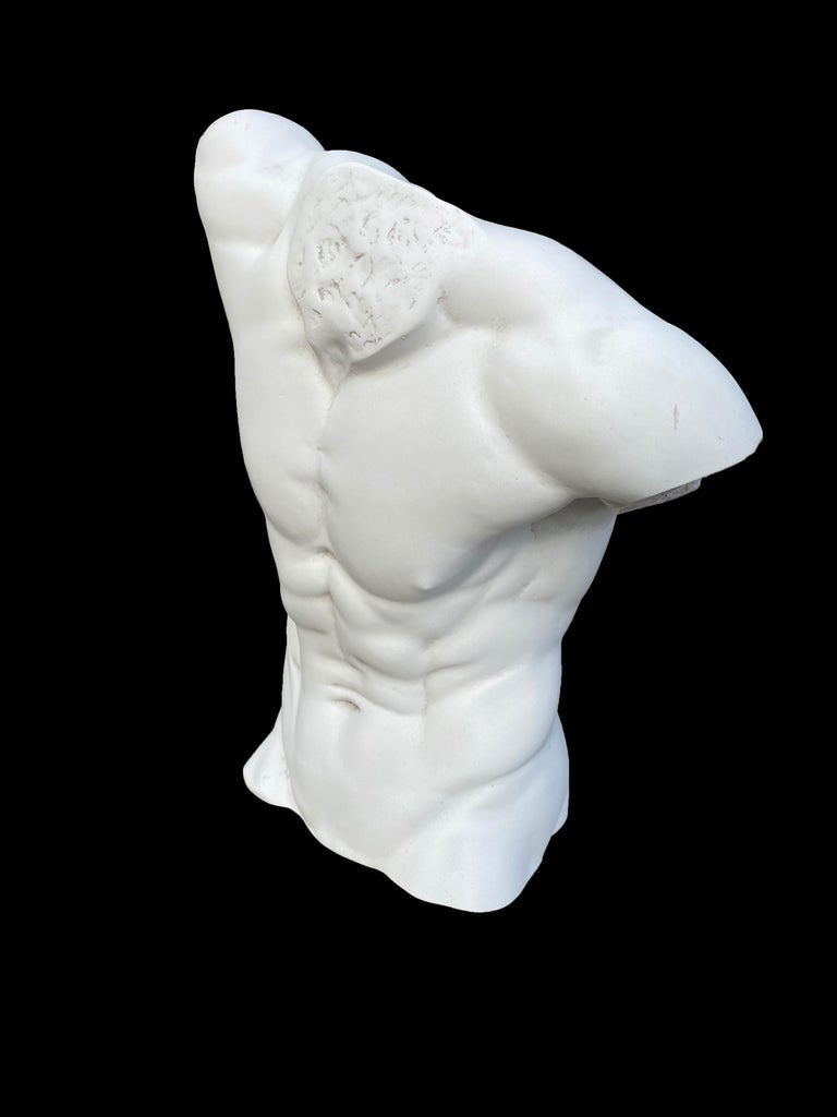 Male Torso Statue, 20th Century For Sale at 1stDibs