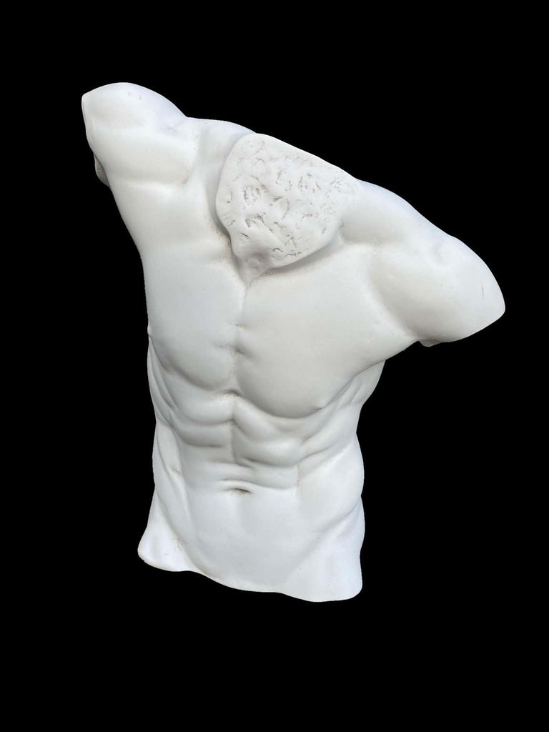 Male Torso Statue, 20th Century at 1stDibs | greek torso statue, greek ...