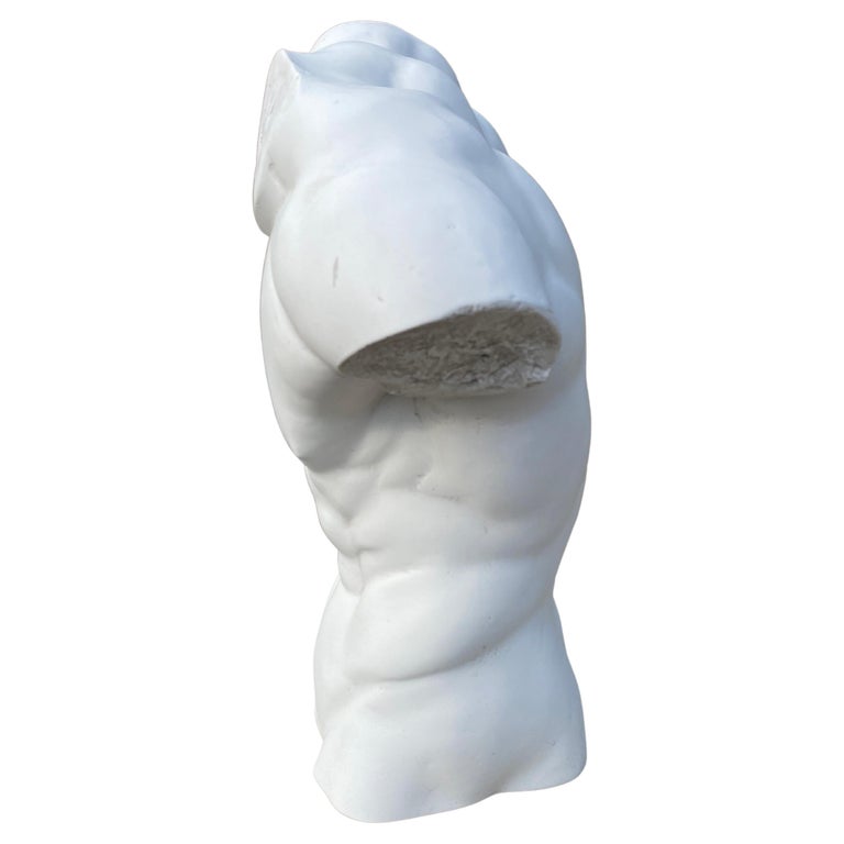 Male Torso Statue, 20th Century For Sale at 1stDibs
