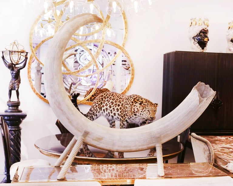 Mammoth Tusk Pure Ivory at 1stDibs