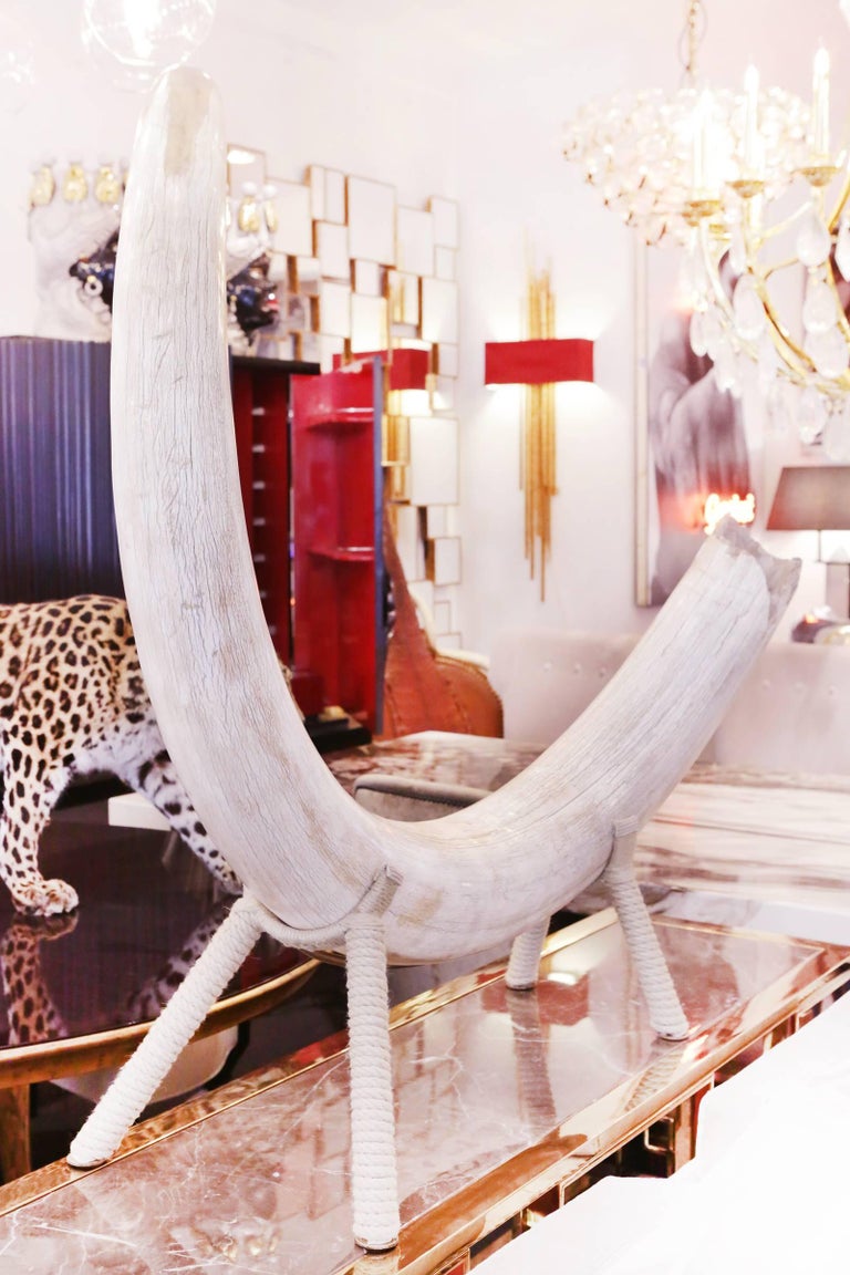 Mammoth Tusk Pure Ivory at 1stDibs