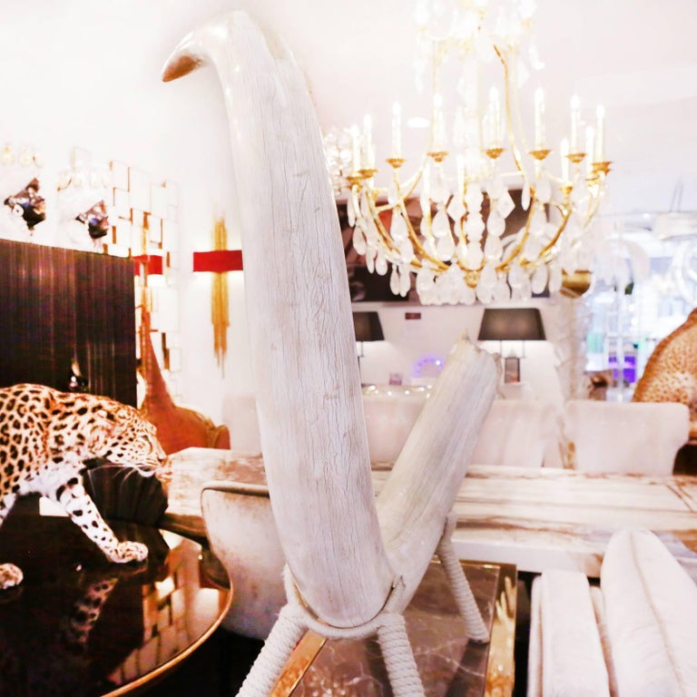 Mammoth Tusk Pure Ivory at 1stDibs