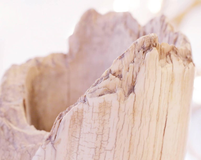 Mammoth Tusk Pure Ivory at 1stDibs