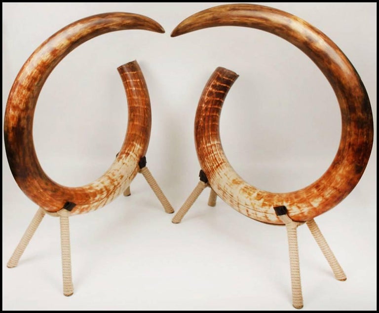 Mammoth Tusk Set of Two King-Size at 1stDibs