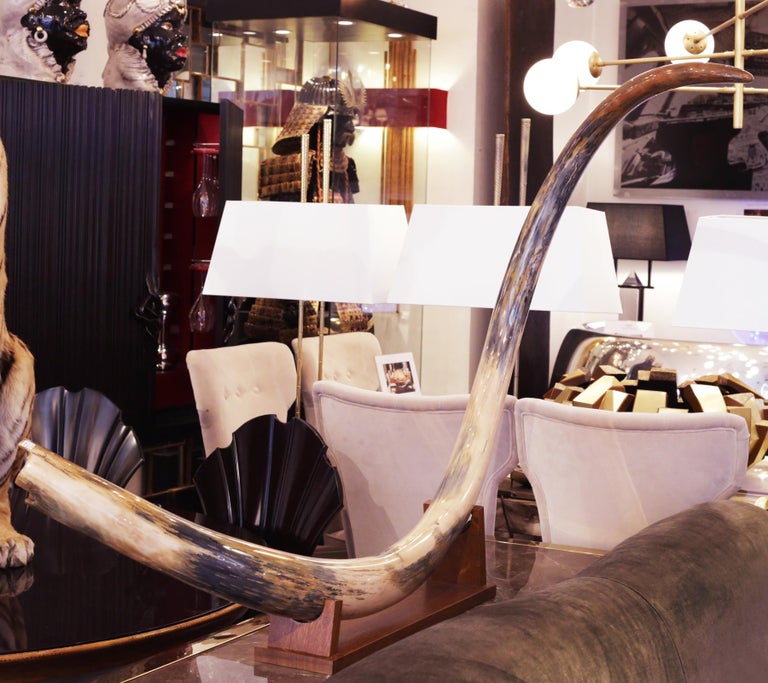 Mammoth Tusk Single Large at 1stDibs | mammoth tusk powder