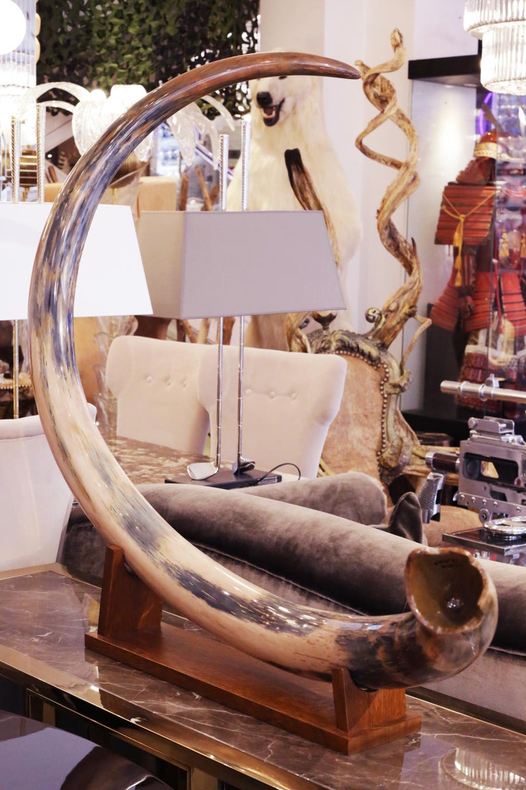 Mammoth Tusk Single Large at 1stDibs | mammoth tusk powder
