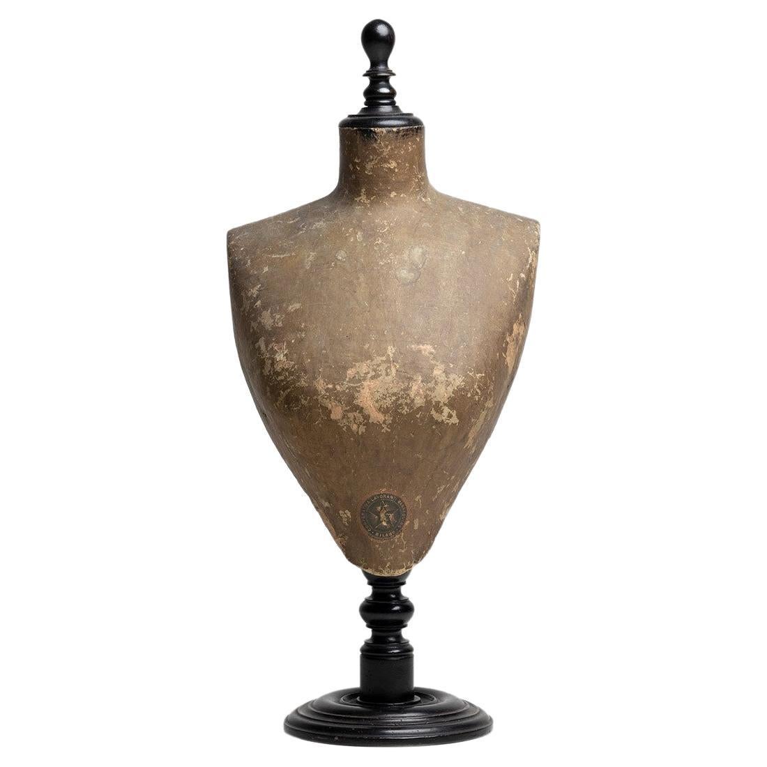 Weathered Garden Bust after Apollo Belvedere, circa 1940 at 1stDibs