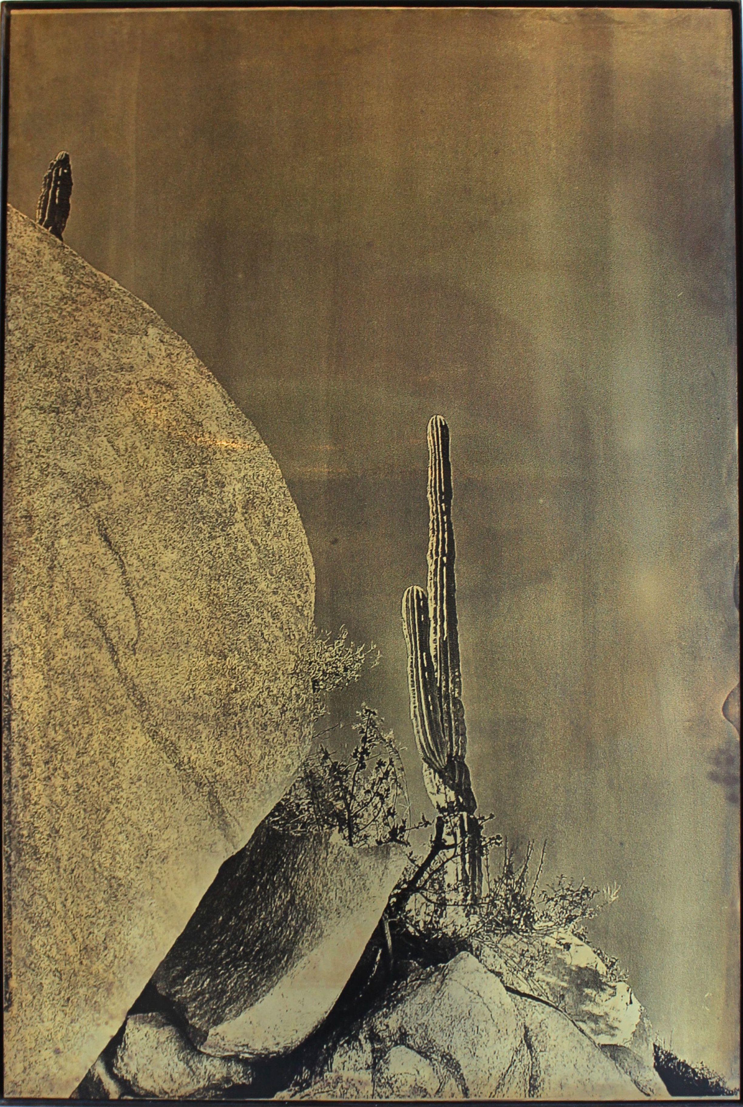 Manuel Lozano - Sin Título II, Mexican Art, Baja Sur, Silkscreen on ...