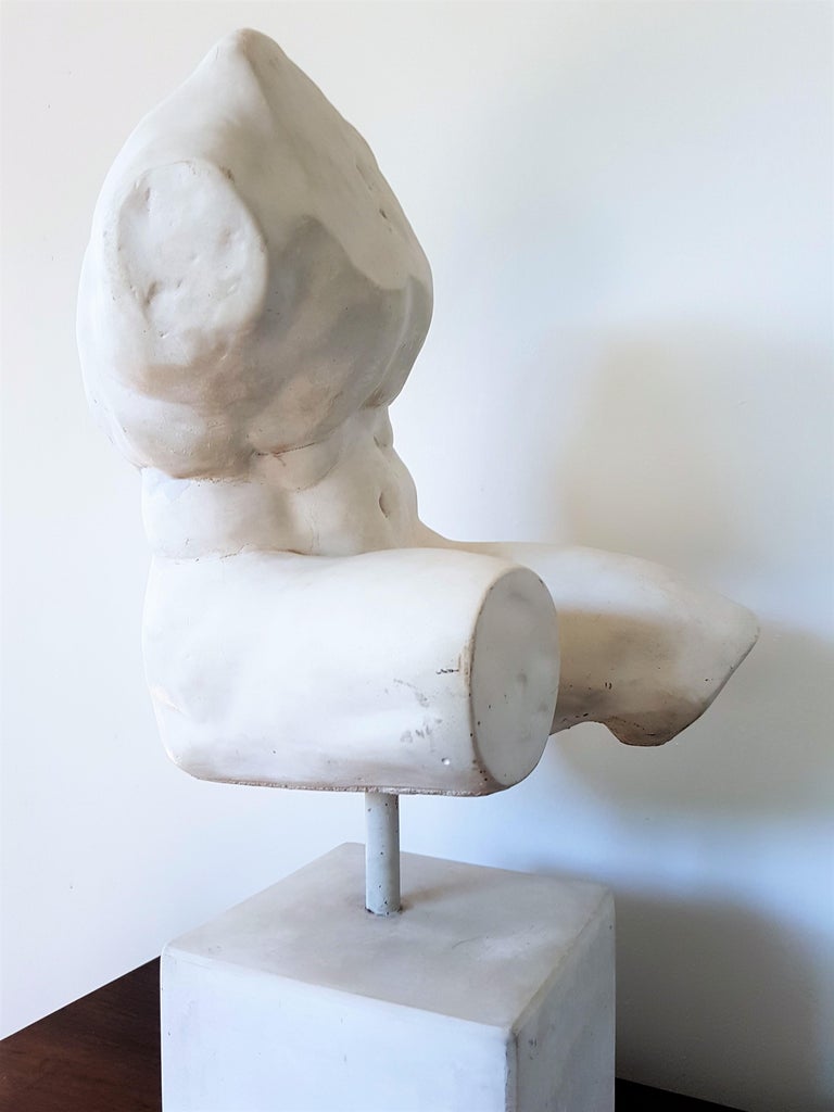 Marble Sculpture of “The Belvedere Torso" For Sale at 1stDibs