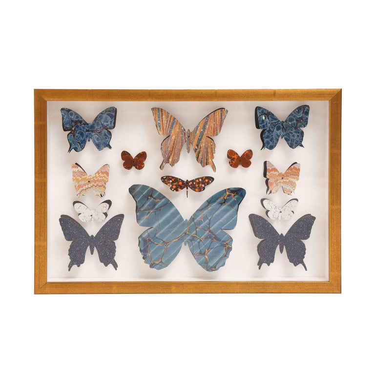 Vintage Butterfly Specimen Collection at 1stdibs