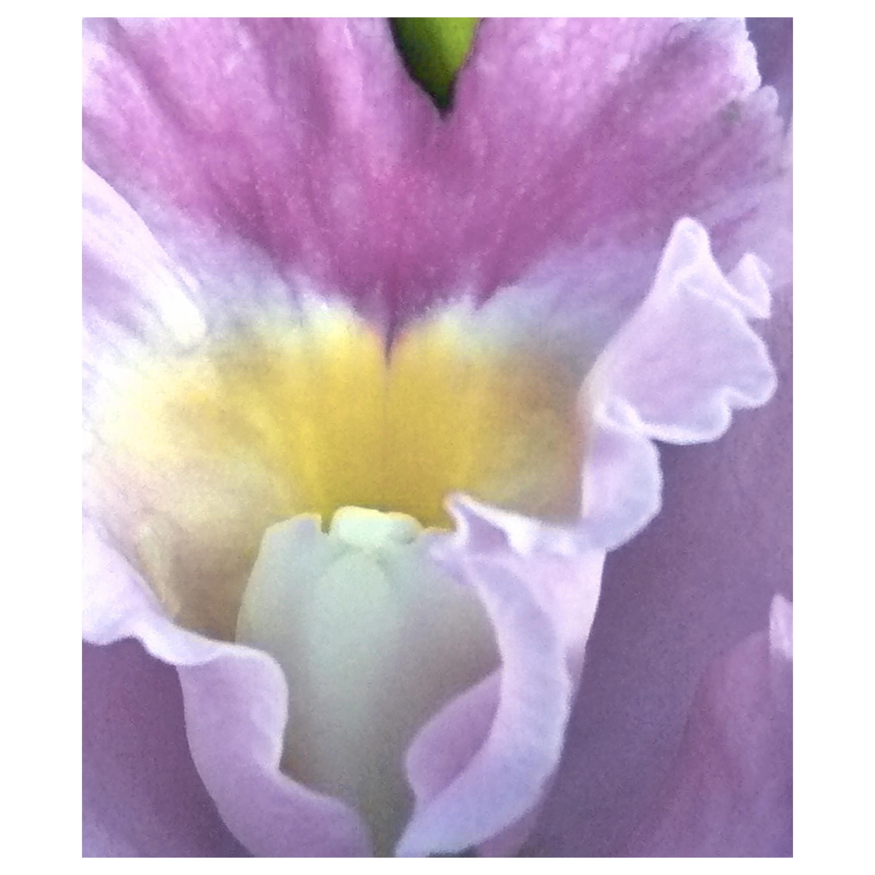 Large Photographic Print of Bas Relief Parthenon Frieze at 1stDibs